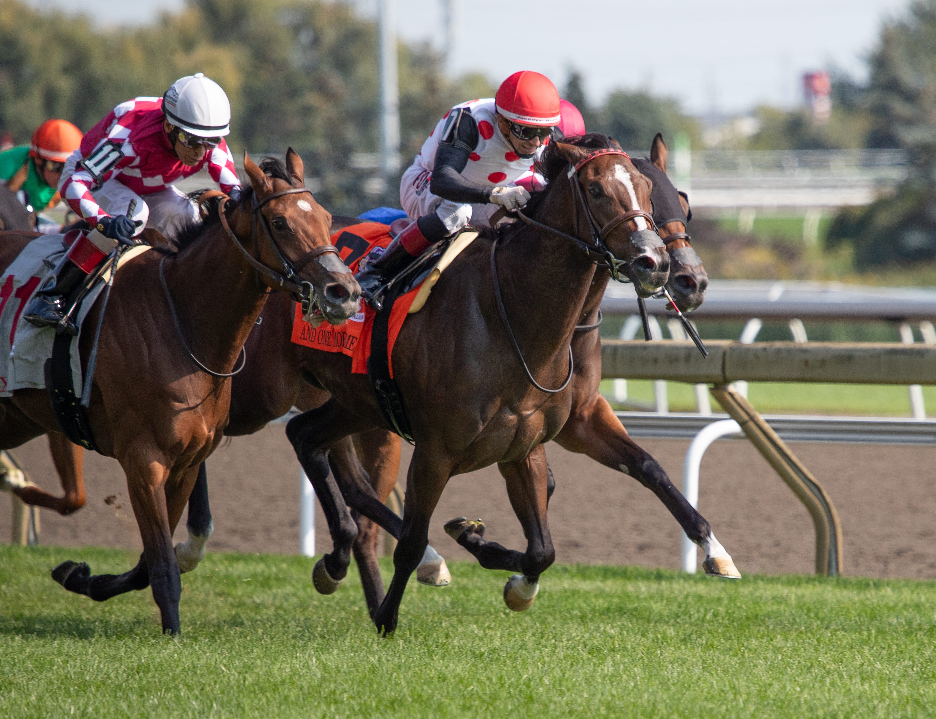 And One More Time ($35.20) takes Natalma, gains BC Juvenile Fillies Turf berth
